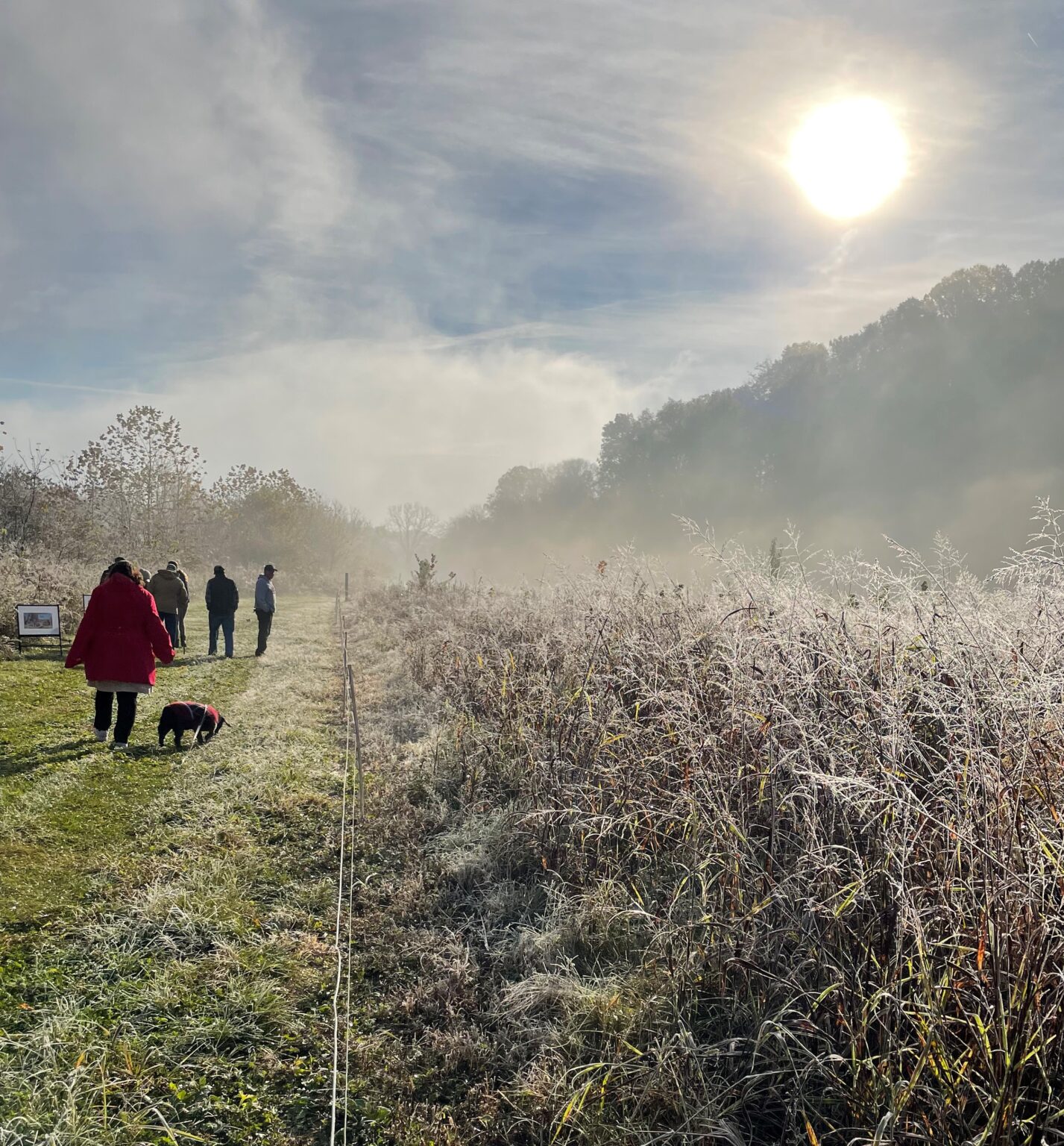 MYPath Trail System - MYPath Trail System